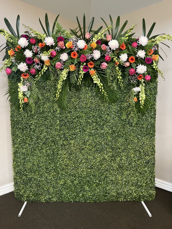 Green Wall (Box Hedge) 2mH x 1.5mW | Wedding Decor for Hire