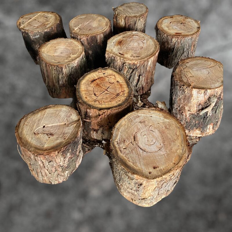 Tree stumps for Ceremony Aisle | Wedding Decor for Hire